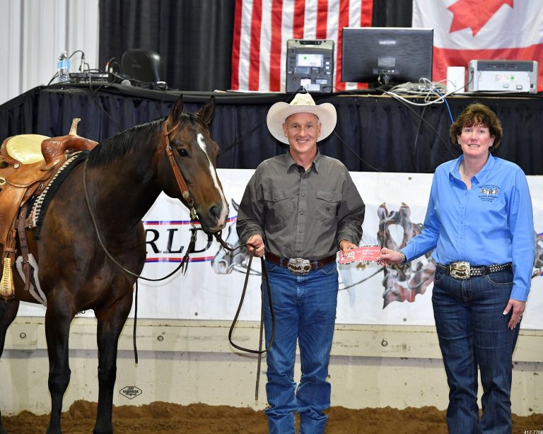 PINTO - BETTY - Jeff Damphouse Stables