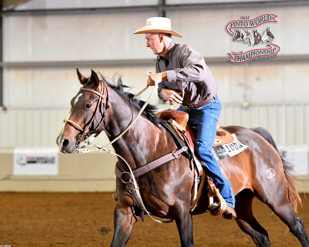 Jeff and Betty Buick win at the Pinto World Show - Jeff Damphouse Stables